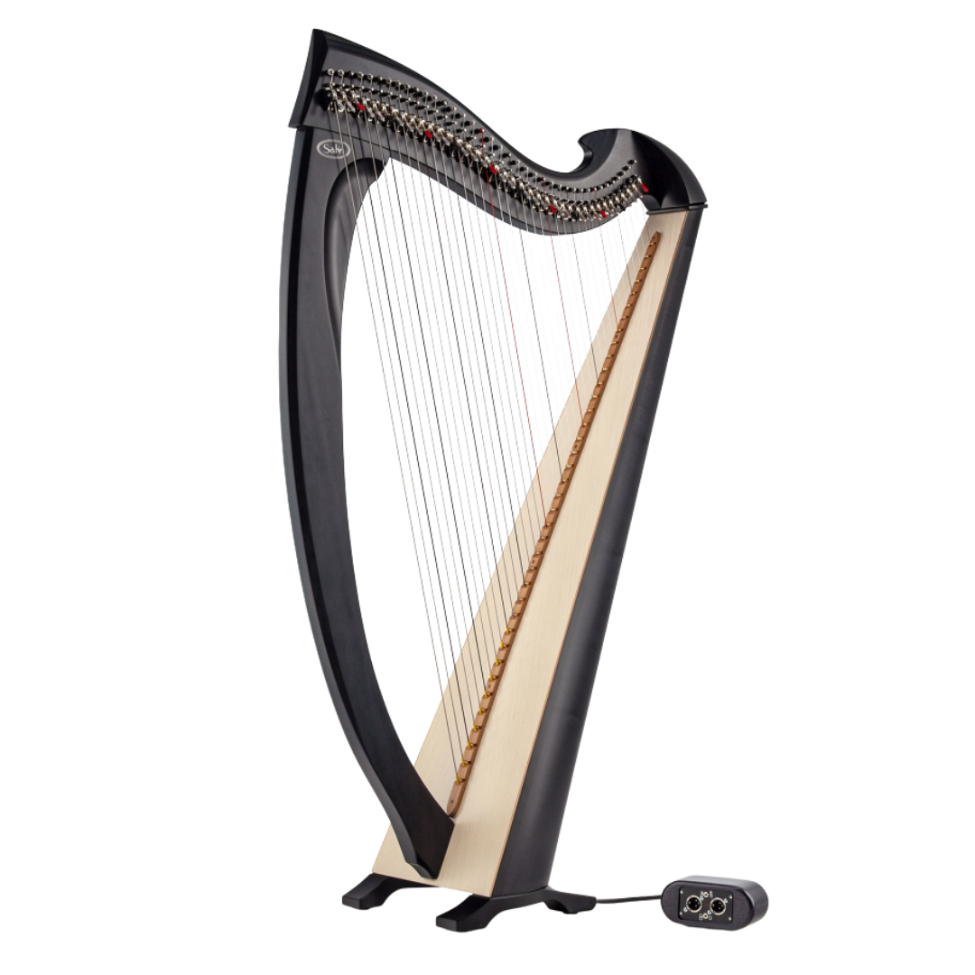 Una Electro Acoustic - The Harp Shop