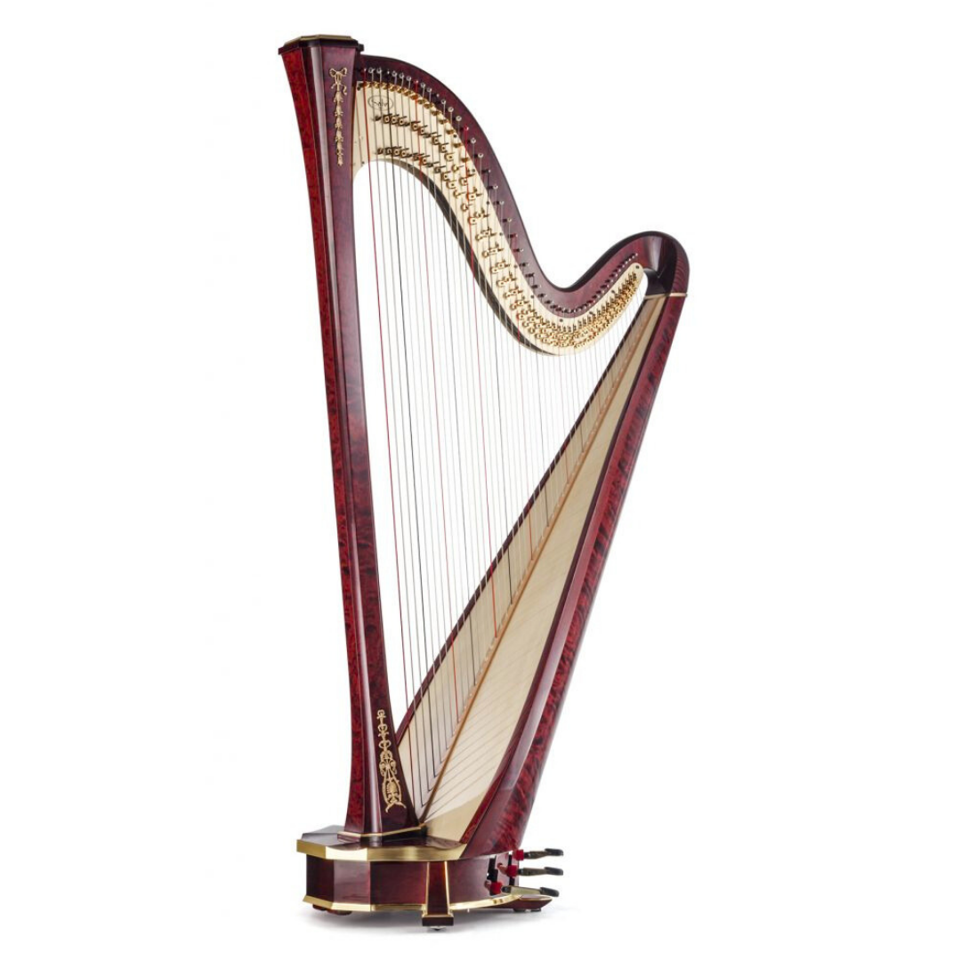 Arion SG - The Harp Shop